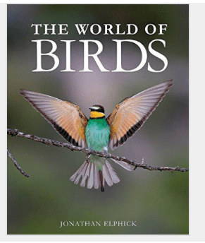 10 Inspiring Coffee Table Books to Own – HouseResort